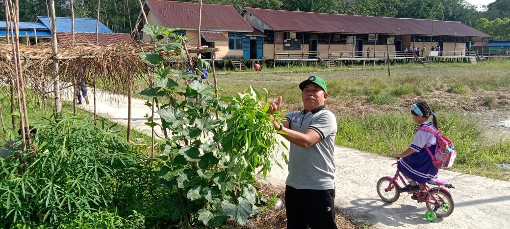 Panen Raya Proyek P5 SMPN 5 Satap Jongkong – Info Kapuas Hulu